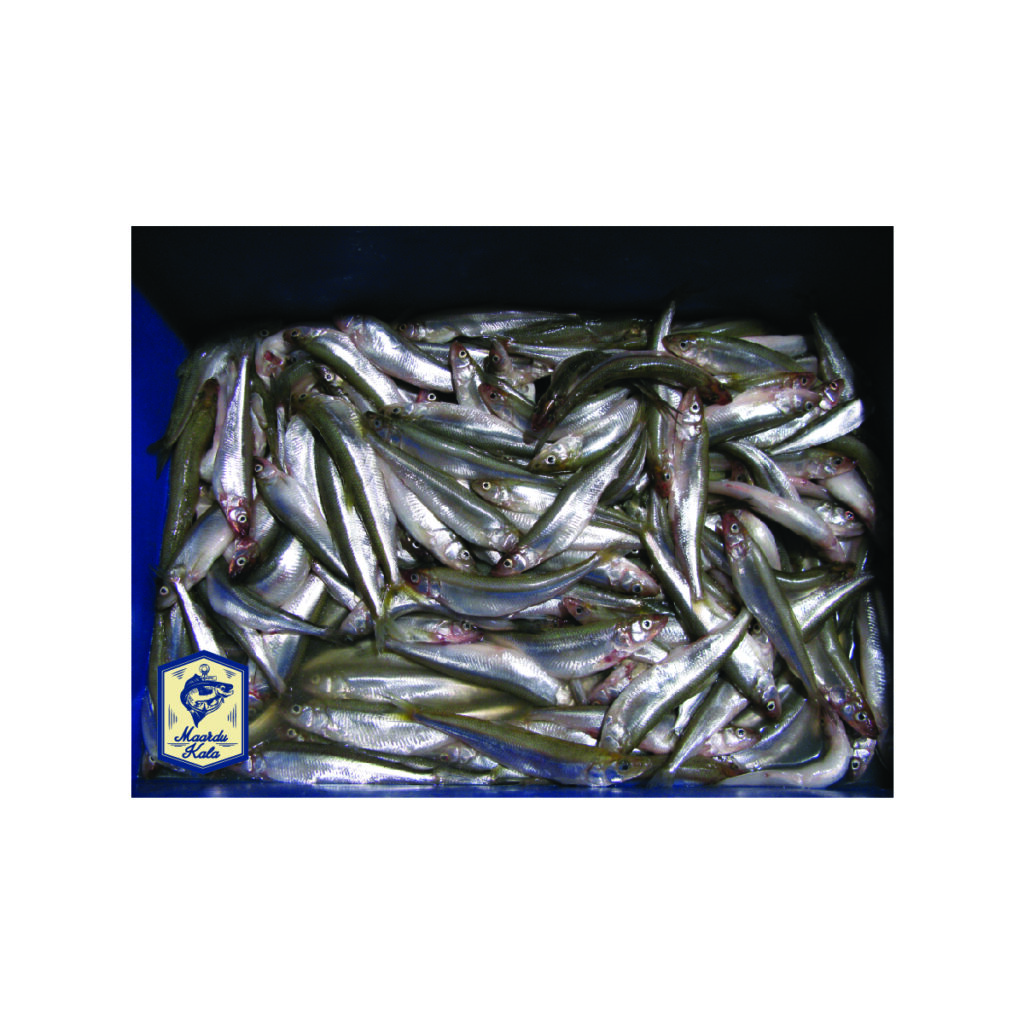 Värske kala – maardukala.ee