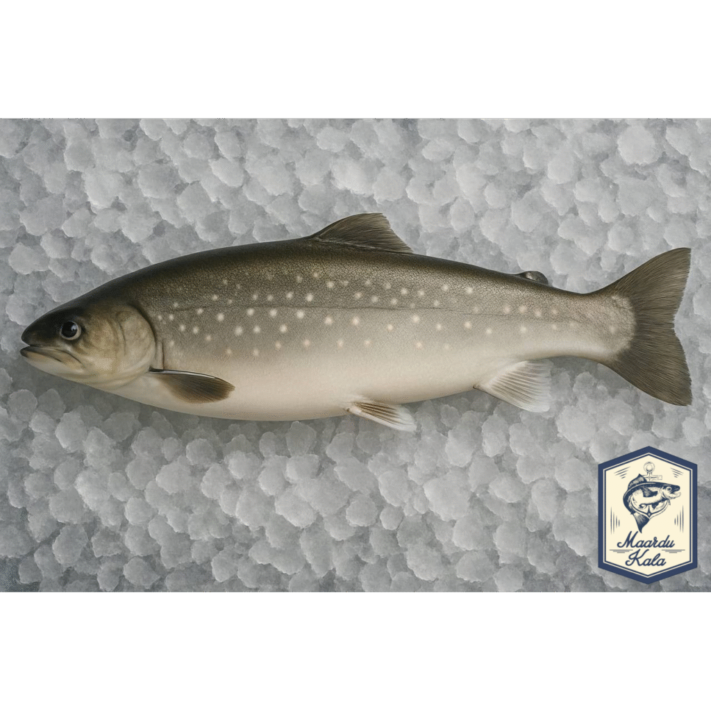 Värske kala – maardukala.ee